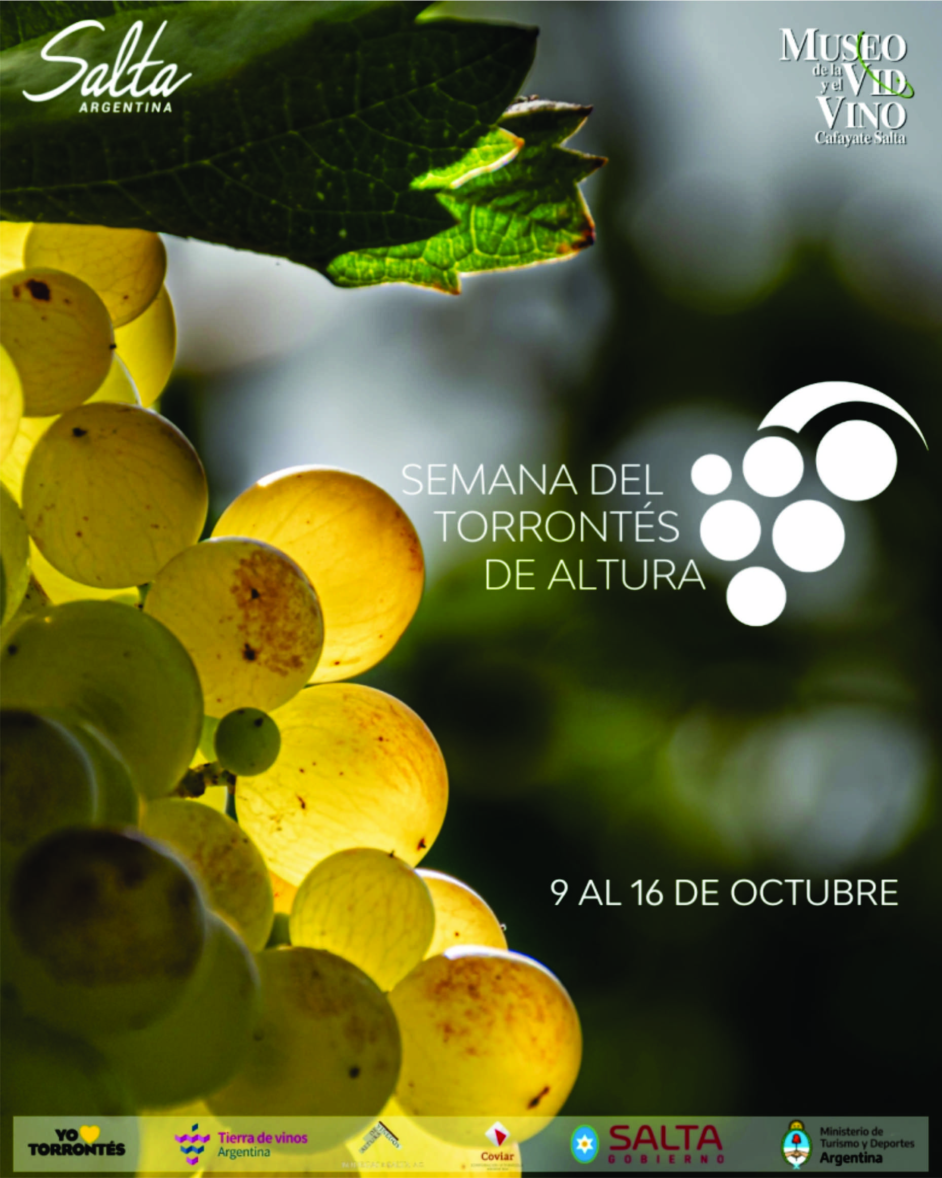 Salta celebra a Semana do Torrontés de Altitude - Revista Marco Zero