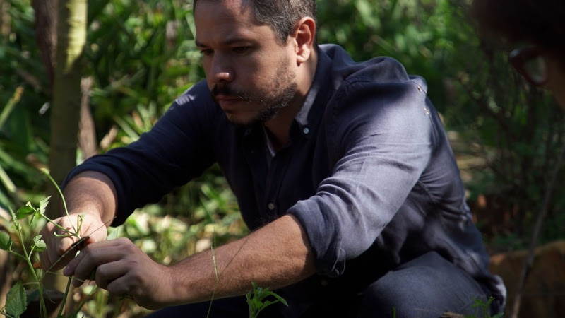 Felipe Rameh estreia Coisas Daqui no GNT e revela menu especial no ...