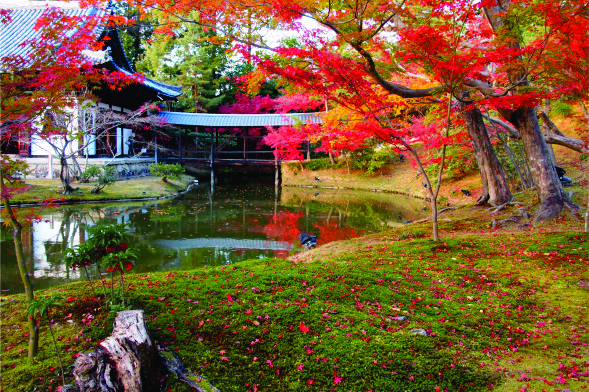 Cerimônia do Chá é um mergulho na ancestralidade do Japão - Revista ...